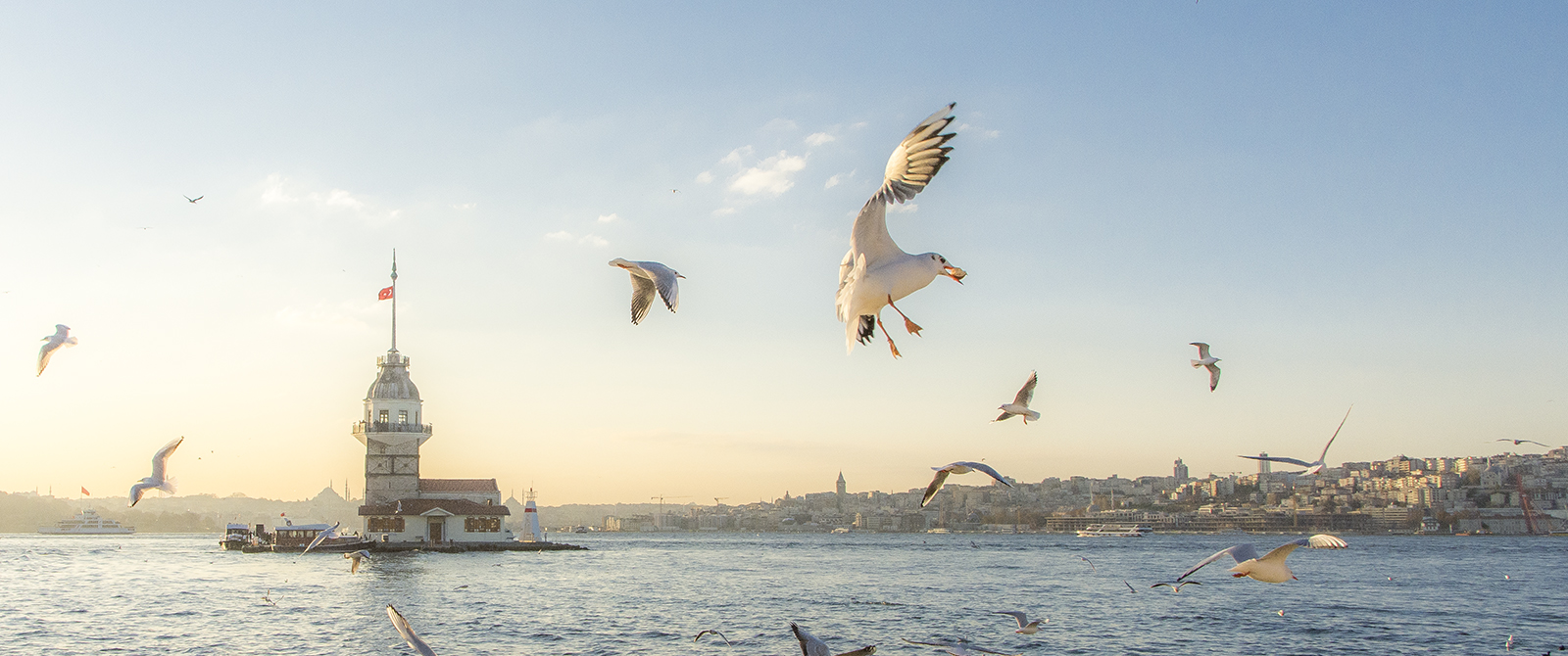 Alafranga Language Solutions - Translation and Localization